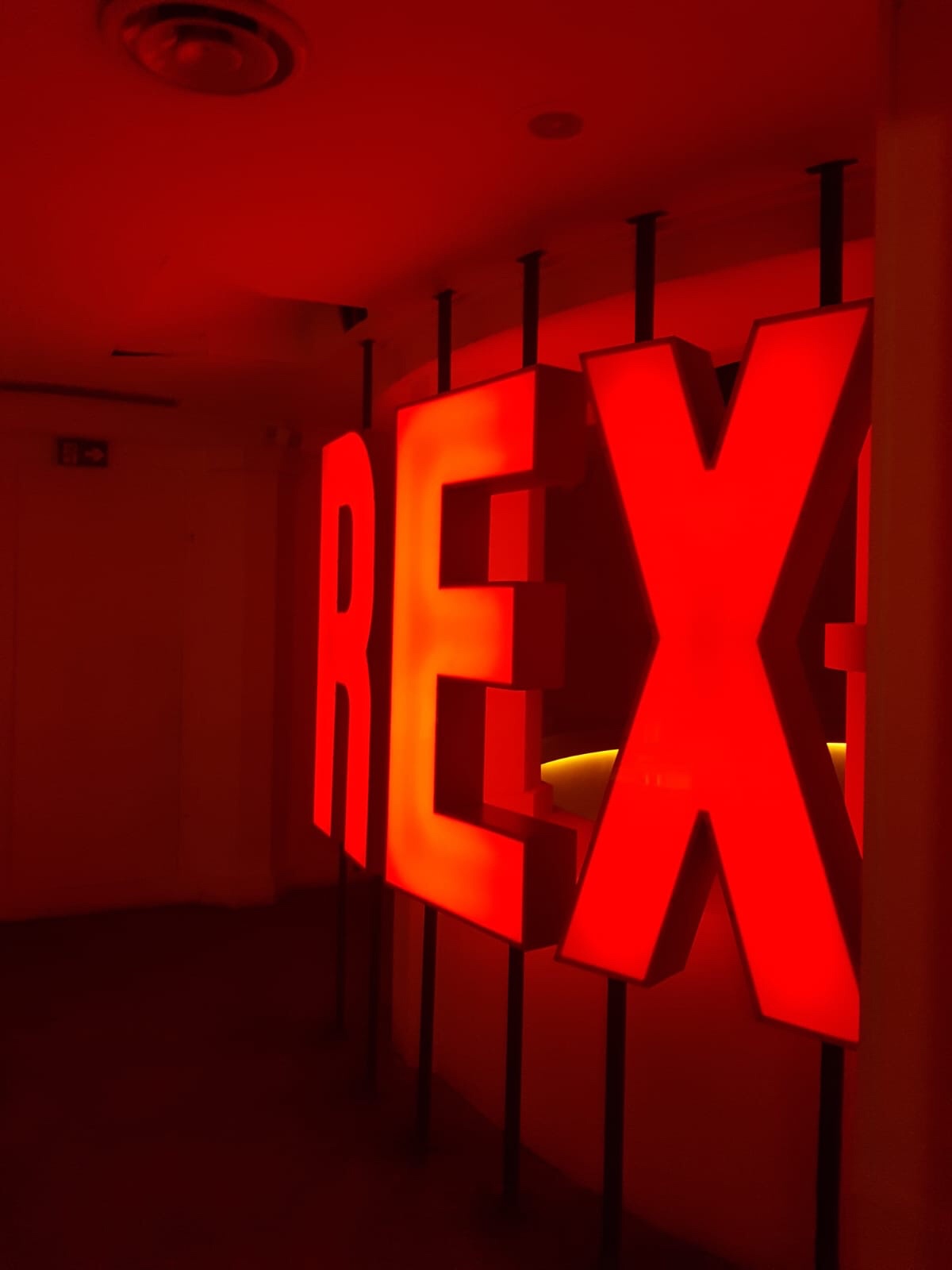 REX STUDIO en continu! les Coulisses S’ouvrent au public